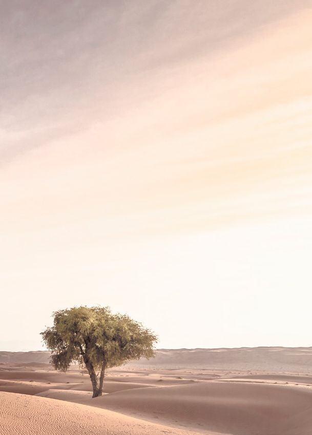 National Climate Change Plan of the United Arab Emirates 2017-2050 ...