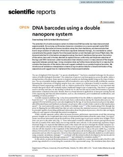 DNA barcodes using a double nanopore system