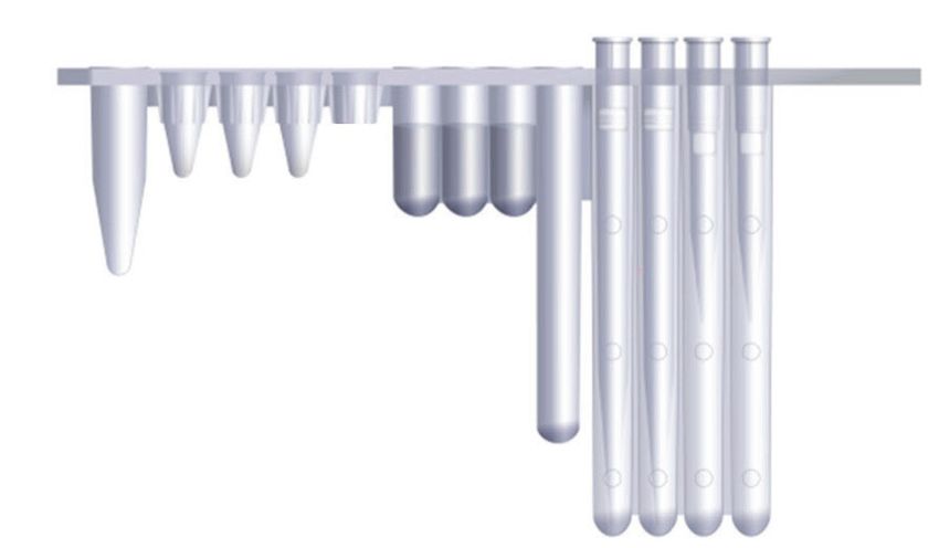 MAX Enteric Bacterial Panel - BD