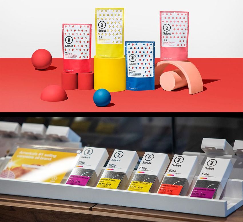 Inside Curaleaf Billionaire Boris Jordan's Hunger To Become The 'Frito ...