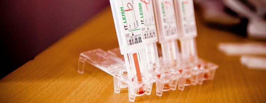 LOCAL DIAGNOSTICS TO MEET LOCAL HEALTH NEEDS