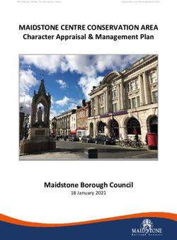 MAIDSTONE CENTRE CONSERVATION AREA - Character Appraisal & Management ...
