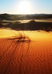 Exploring the Sahara Desert's Past to Understand Its Future - Professor ...