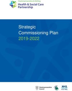 Strategic Commissioning Plan 2019-2022
