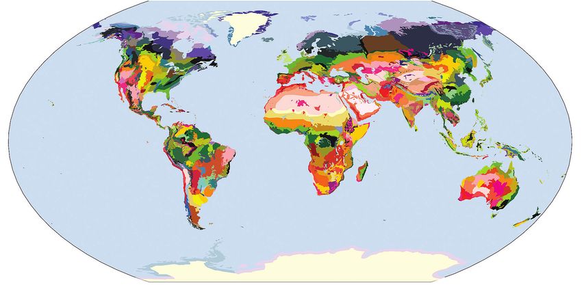 Terrestrial Ecoregions of the World: A New Map of Life on Earth