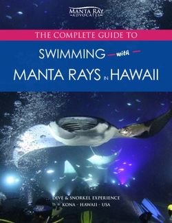 MANTA RAYS IN HAWAII SWIMMING - THE COMPLETE GUIDE TO - Manta Ray Advocates