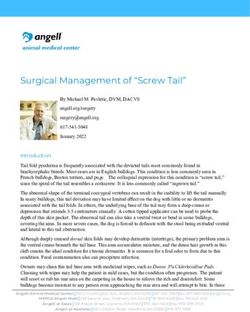 Surgical Management of "Screw Tail" - MSPCA-Angell