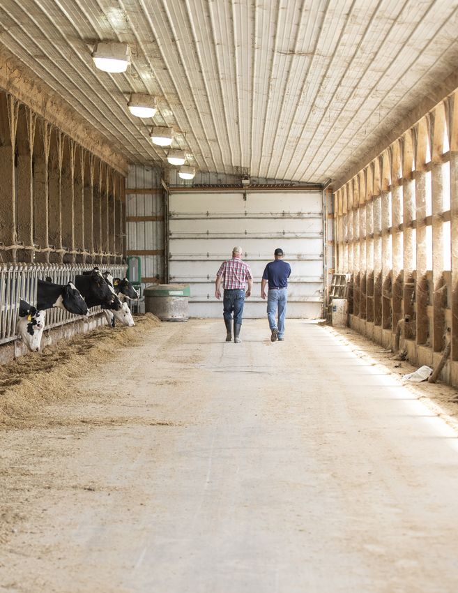 COWSIDE SCORING GUIDE - Alltech