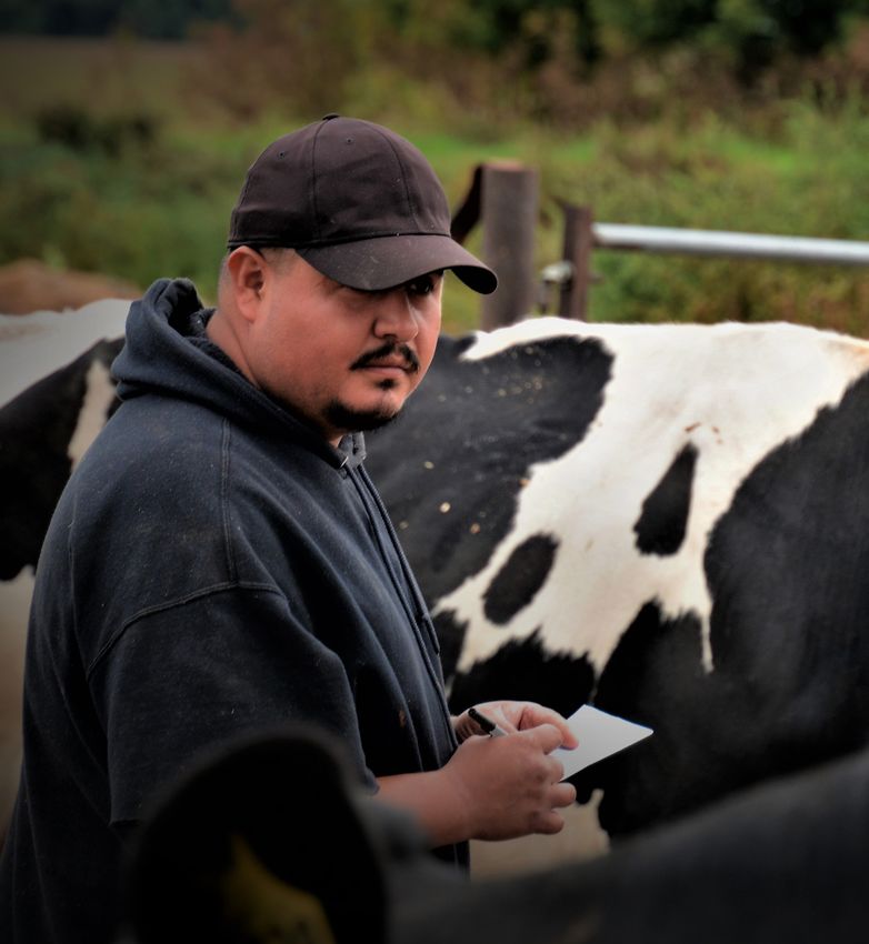 COWSIDE SCORING GUIDE - Alltech