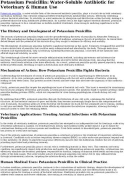 Potassium Penicillin: Water-Soluble Antibiotic for Veterinary & Human Use