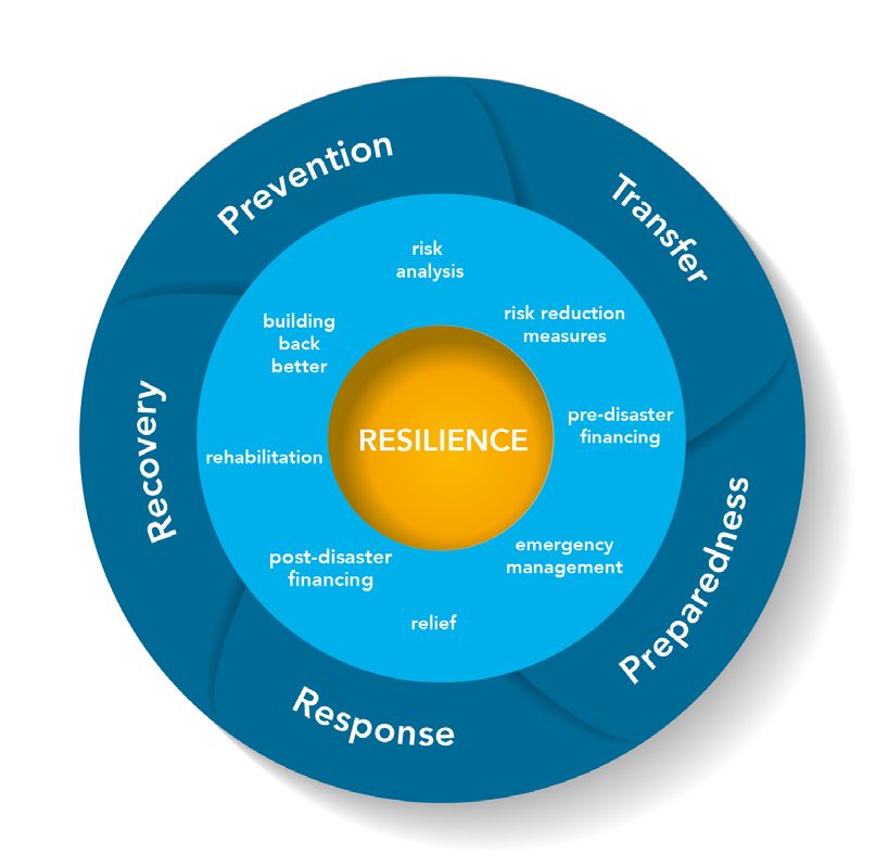 Climate and Disaster Risk Financing Instruments: An Overview Climate and Disaster Risk Financing Instruments: An Overview