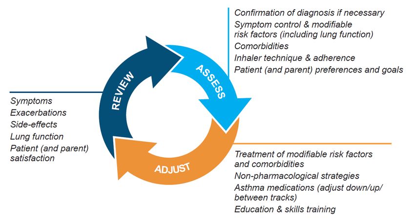 Asthma Management 2020 Focused Updates To The National Asthma