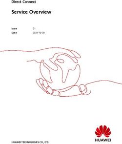Service Overview Direct Connect - HUAWEI TECHNOLOGIES CO., LTD - Issue ...