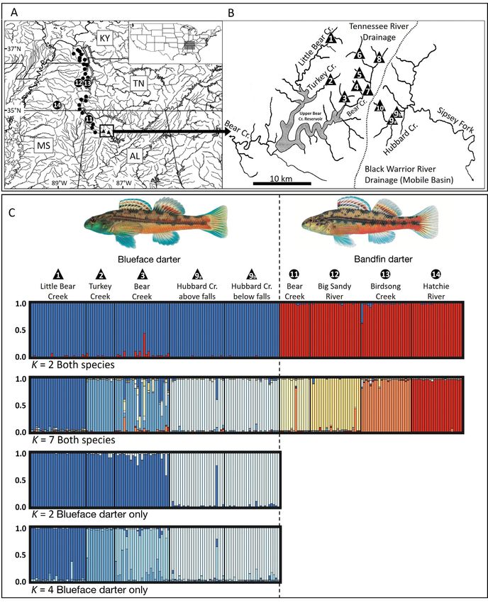 Genetic structure and diversity of Genetic structure and diversity of