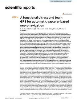 A functional ultrasound brain GPS for automatic vascular based ...
